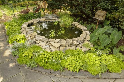 Add Chartreuse Plants To Your Garden | Plants, Gardening | Blooming Secrets