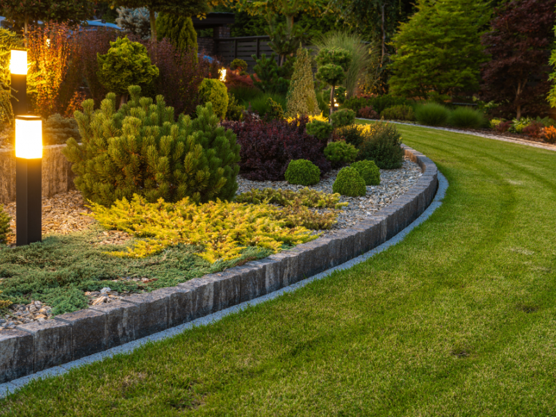 Designing Climate-Resilient Gardens | Trends, Gardening | Blooming Secrets