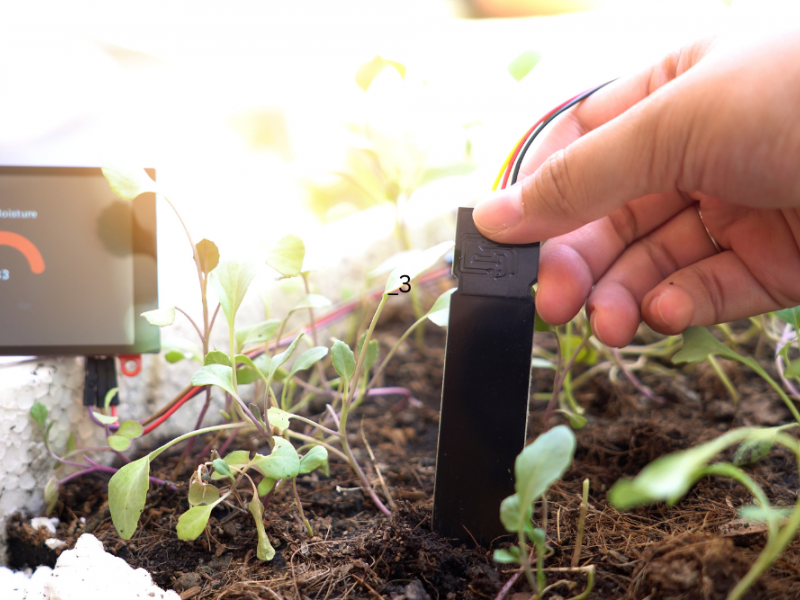 Smart Gardens & Tech-Integrated Gardening Explained | Blooming Secrets