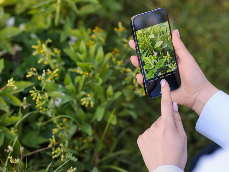 Smart Gardens & Tech-Integrated Gardening Explained | Blooming Secrets