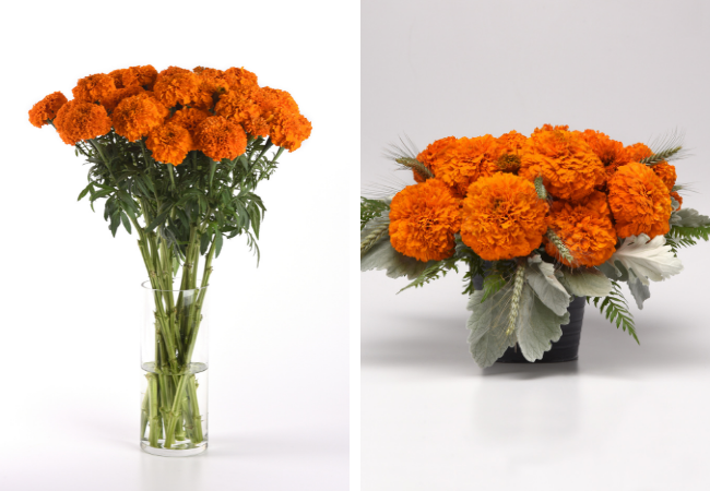 Thrilling New Cut Flowers | Cut Flowers, Garden | Blooming Secrets