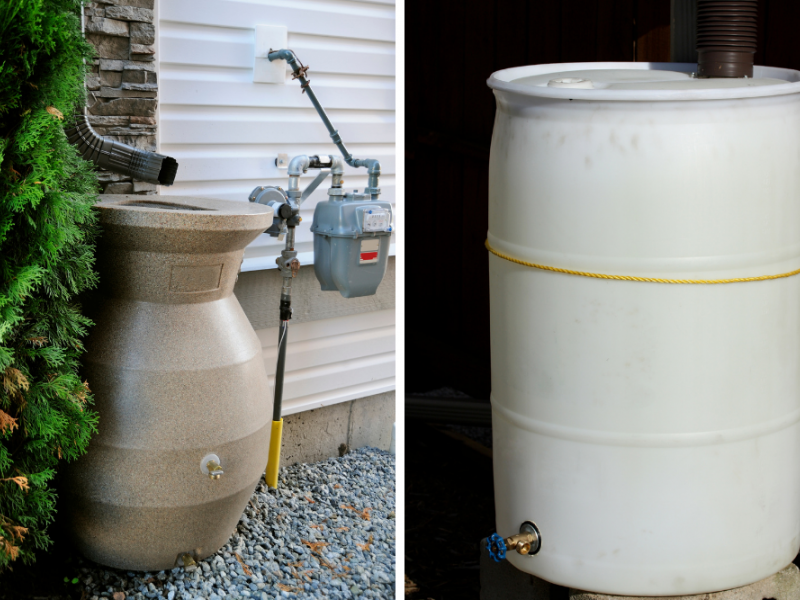 Using A Rain Barrel For Your Garden | Gardening | Blooming Secrets