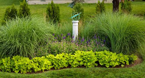 Layering Design Technique | Garden Design, Gardening | Blooming Secrets