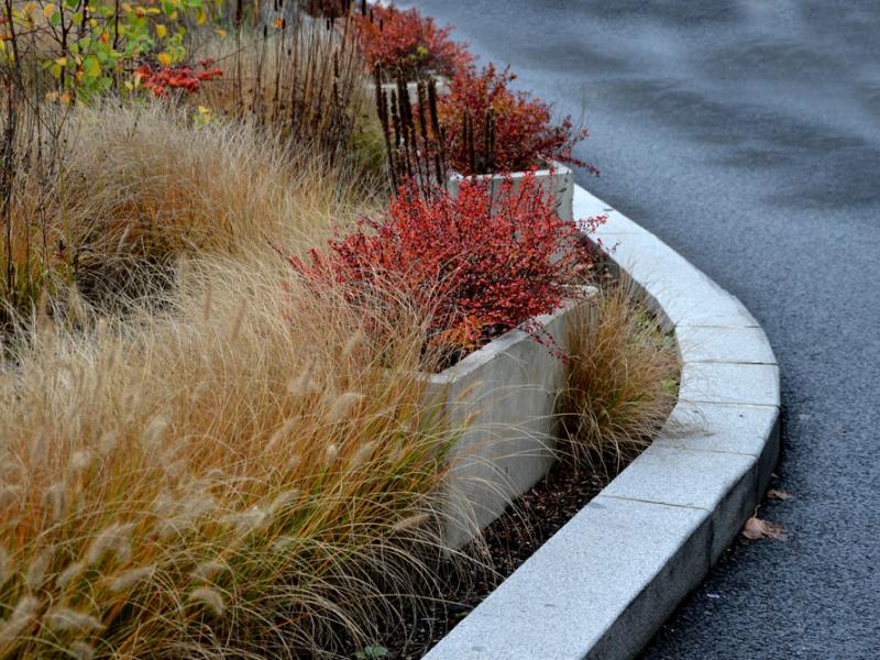 Tips On Planning A Hellstrip | Landscape, Gardening | Blooming Secrets