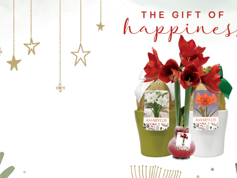 Great Holiday Gifts For Gardeners | Gardening Gifts | Blooming Secrets