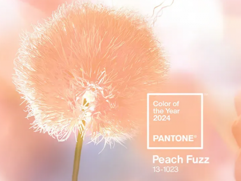 Beautiful Peach Flowers For Your Garden | Gardening | Blooming Secrets