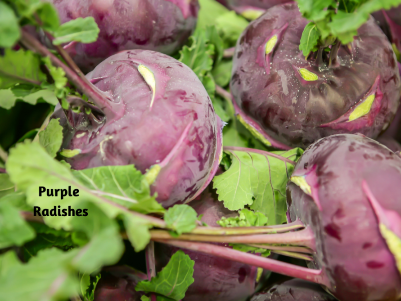 Growing Purple Vegetables | Vegetables, Seeds, Gardening | Blooming Secrets