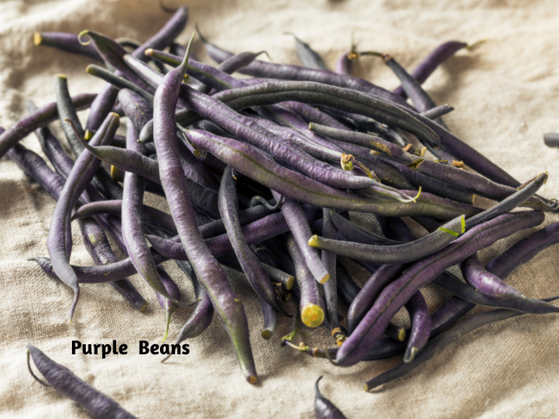 Growing Purple Vegetables | Vegetables, Seeds, Gardening | Blooming Secrets
