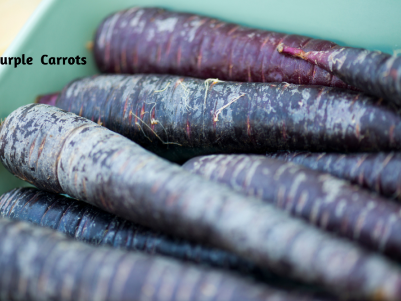 Growing Purple Vegetables | Vegetables, Seeds, Gardening | Blooming Secrets