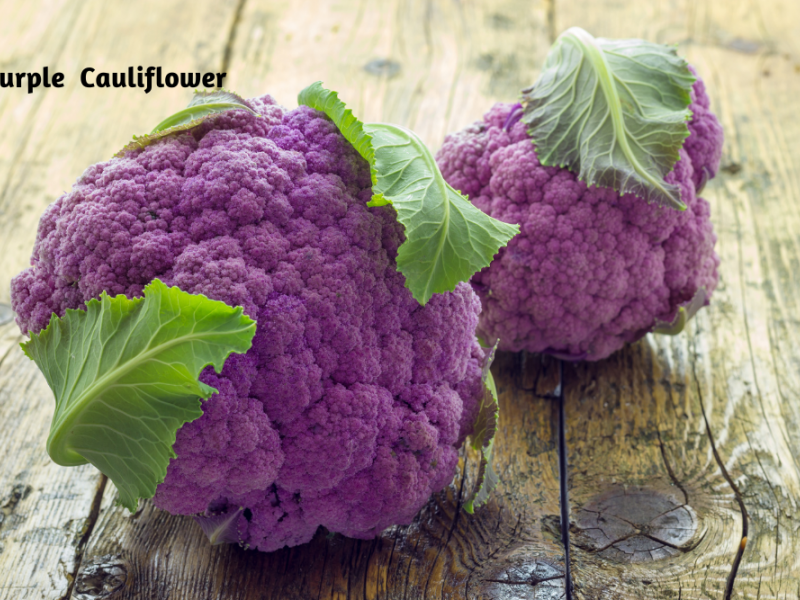 Growing Purple Vegetables | Vegetables, Seeds, Gardening | Blooming Secrets