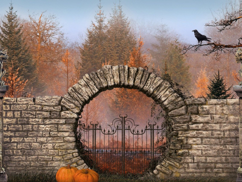 Designing A Goth Garden | Gothic Garden, Gardening | Blooming Secrets