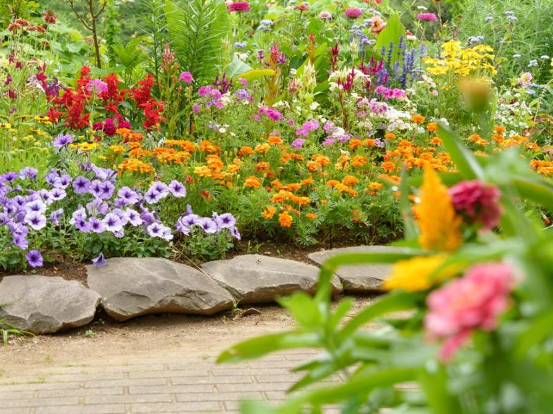 Flowers That Deliver Endless Summer Color | Gardening | Blooming Secrets