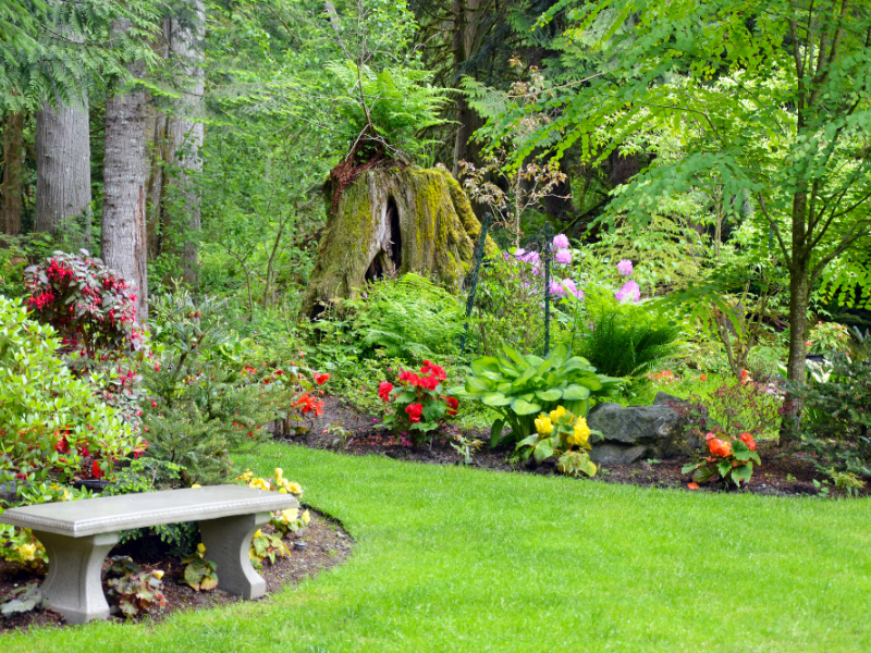 Tips For Improving Landscaping Around A Tree | Gardening | Blooming Secrets