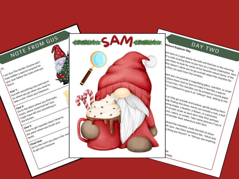 Gnome In The Home Activities | Gnomes, Games, Gardening | Blooming Secrets