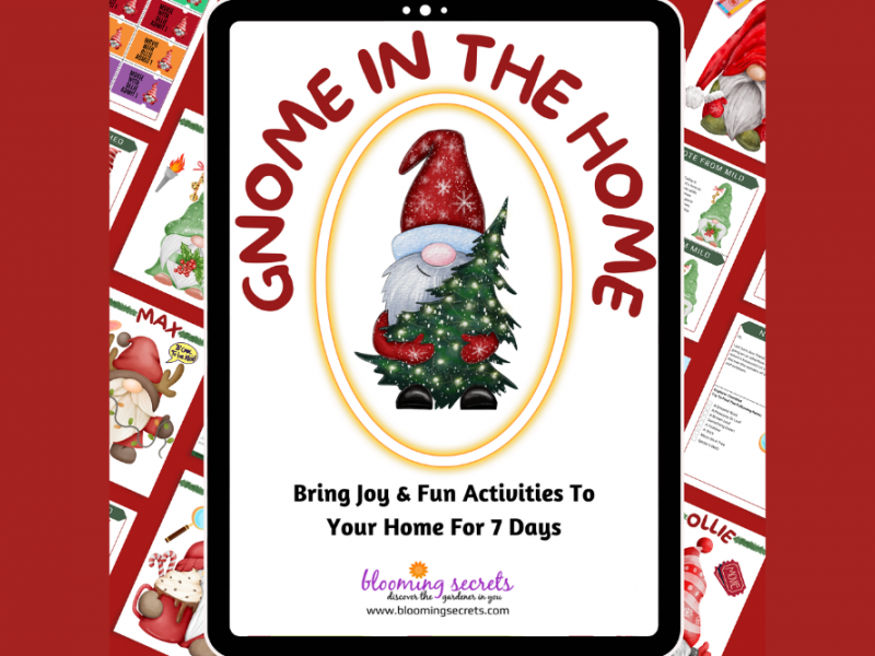 Gnome In The Home Activities | Gnomes, Games, Gardening | Blooming Secrets