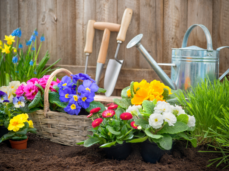 Flower Gardening Mistakes and Their Fixes | Gardening | Blooming Secrets