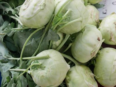 5 New Vegetables To Grow This Fall | Vegetables, Garden | Blooming Secrets