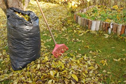 4 Fun Projects to Try This Fall | Tips, Clean-Up, Garden | Blooming Secrets