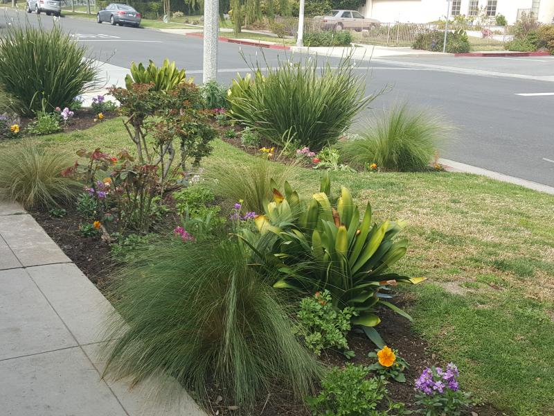 Kickin' It Up At The Curb | Gardening Trends, Gardening | Blooming Secrets