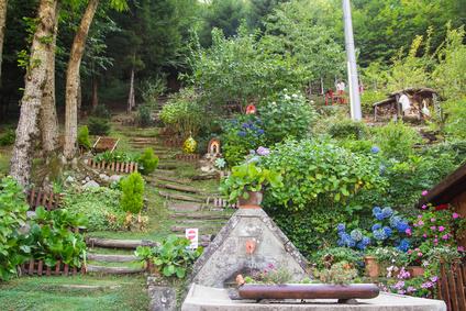 5 Woodland Gardening Tips | Flowers, Plants, Gardening | Blooming Secrets