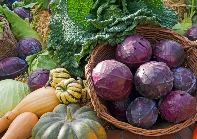 Cool Weather Vegetables | Vegetables, Gardening | Blooming Secrets