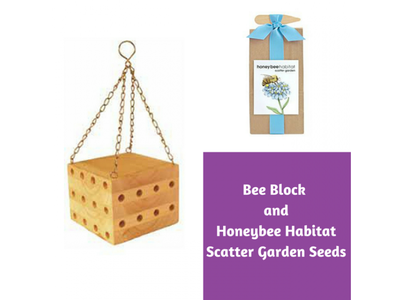 Bee Block | Bees, Seeds, Gardening | Blooming Secrets